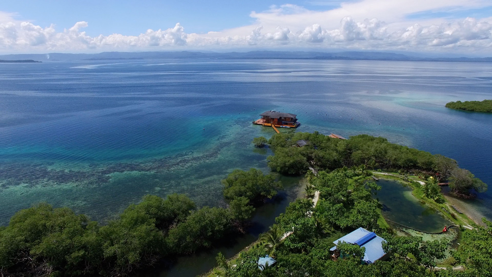 Sweet Bocas Villa Rental | Villas of Distinction