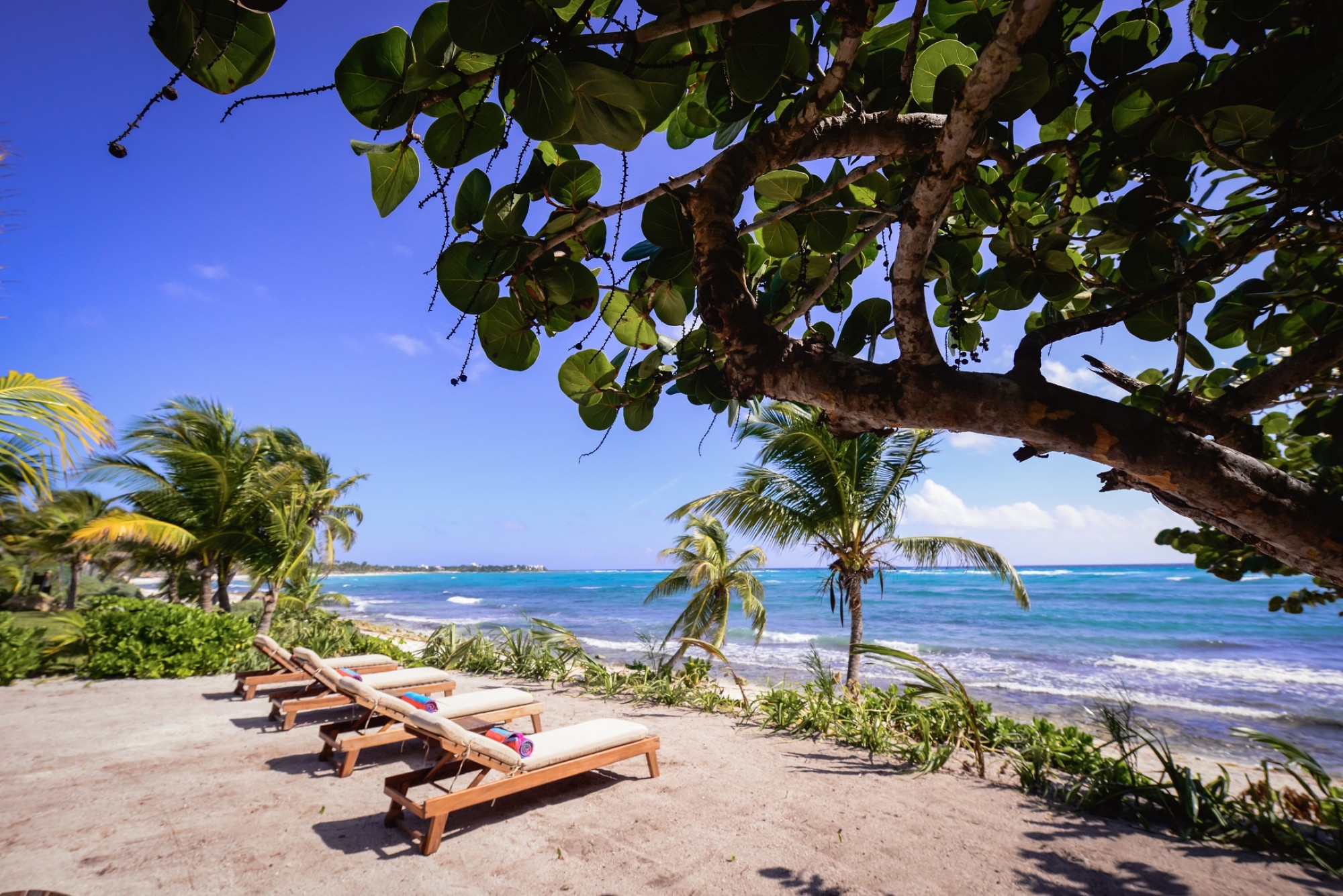 Alma Rosa Villa Rental | Villas of Distinction