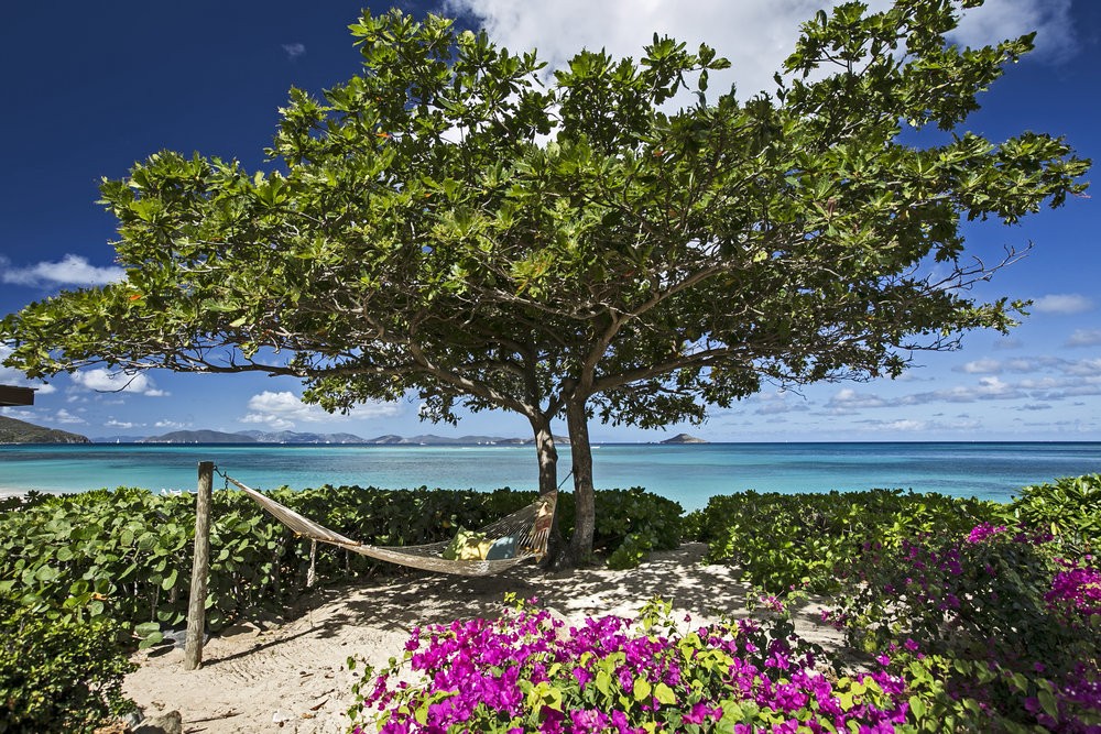 Beachcomber Villa Rental | Villas of Distinction