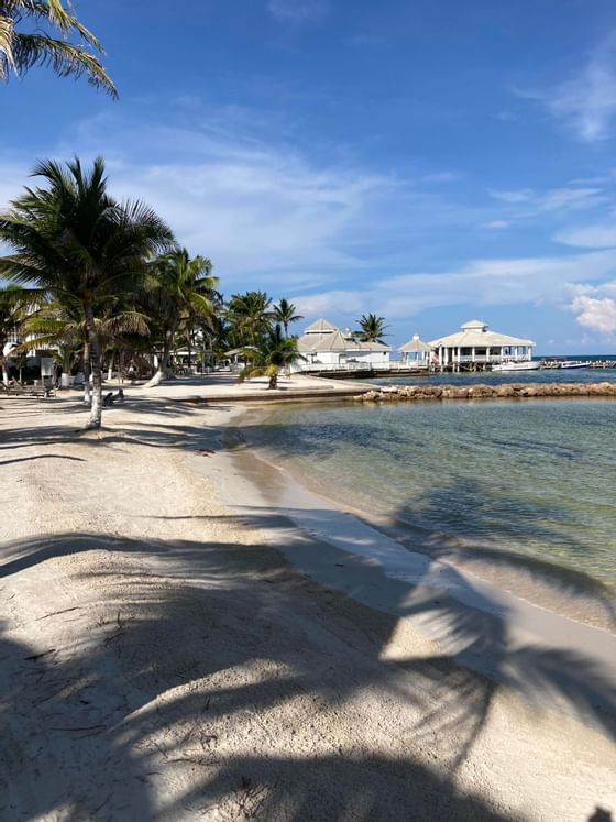 Alaia Belize, Autograph Collection - Reef House Villa Rental | Villas ...