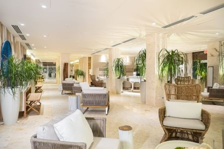 Alaia Belize, Autograph Collection - The Vista Suites Villa Rental ...