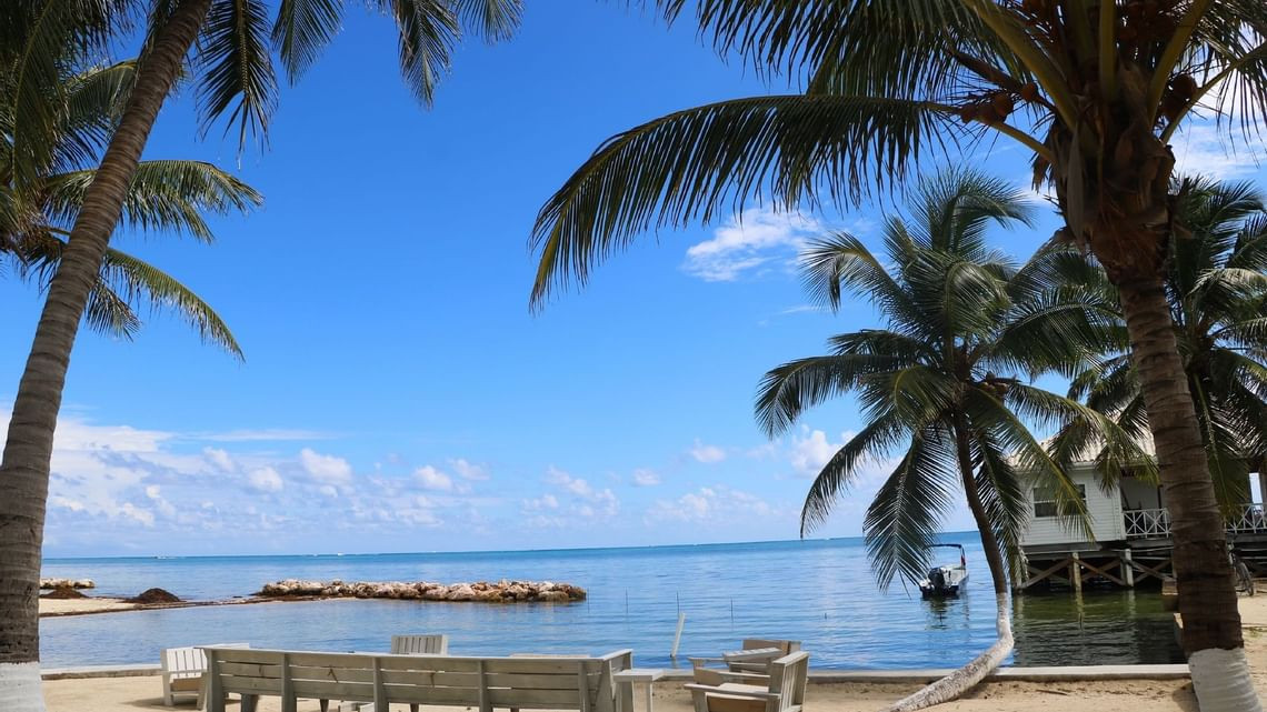 Alaia Belize, Autograph Collection - The Vista Suites Villa Rental ...